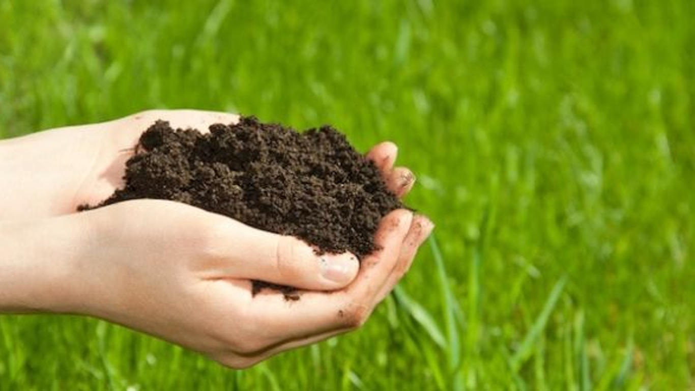 Le compost humain, une solution pour échapper au cimetière ? - AlloDocteurs