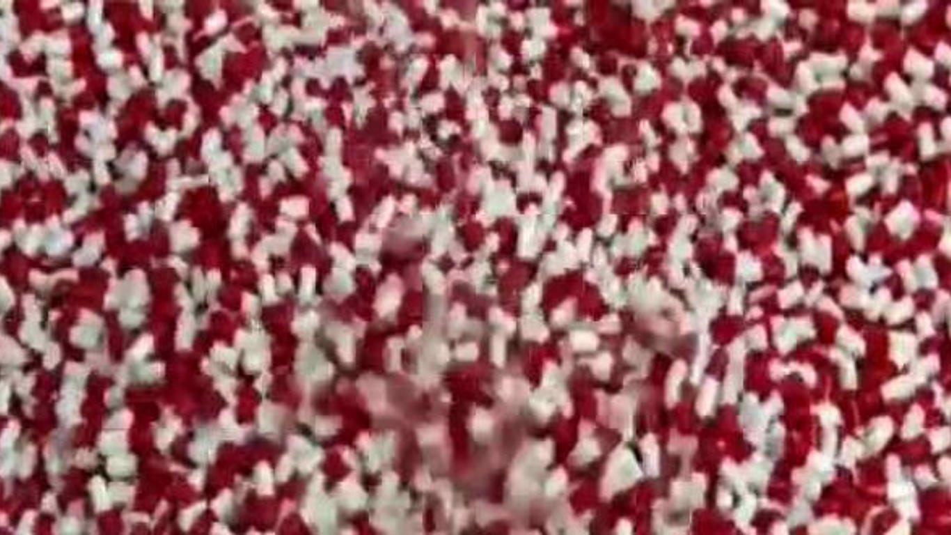 Rappel d'un lot de l'antibiotique Oracefal® - AlloDocteurs