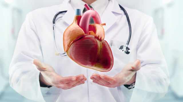 Maladies cardiaques - AlloDocteurs