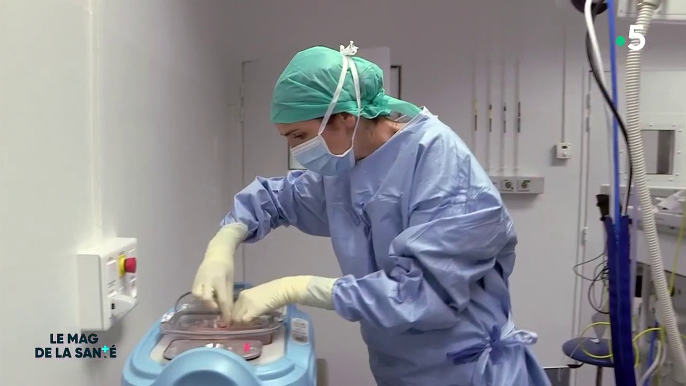 Un cœur de porc, génétiquement modifié, greffé sur un humain : une ...