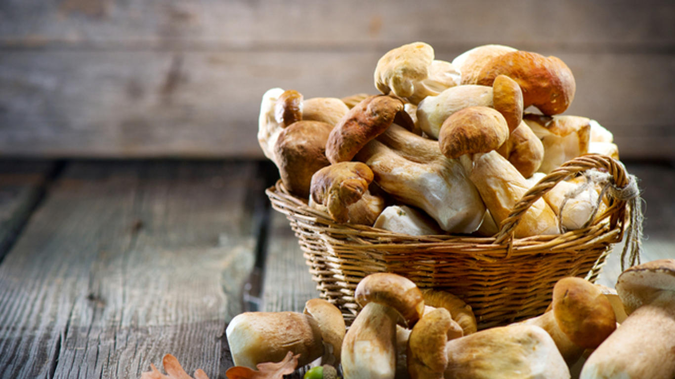 Champignons : tout savoir sur le cèpe - AlloDocteurs