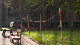 Saturnisme - AlloDocteurs