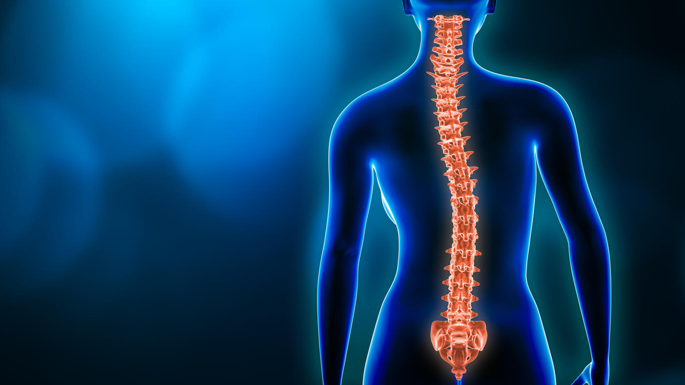 Tous les secrets de la colonne vertébrale - AlloDocteurs
