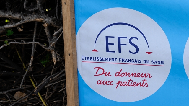 Plaquette sanguine - AlloDocteurs