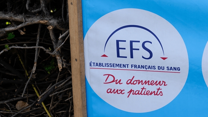 Plaquette sanguine - AlloDocteurs