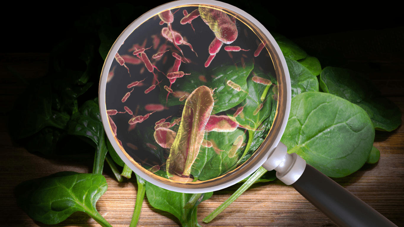 Intoxications alimentaires : menaces dans nos assiettes ! - AlloDocteurs