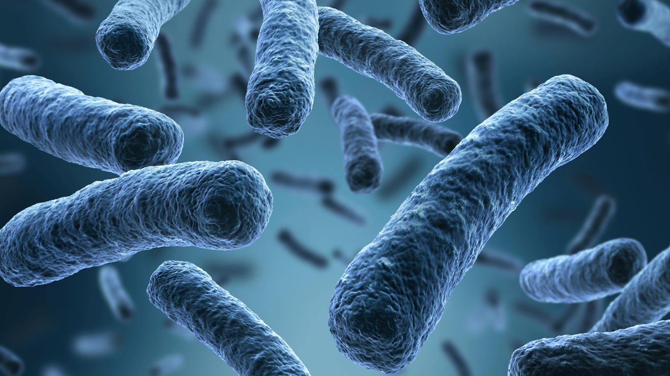Record de cas de légionellose en France : ce qu'il faut savoir sur ...