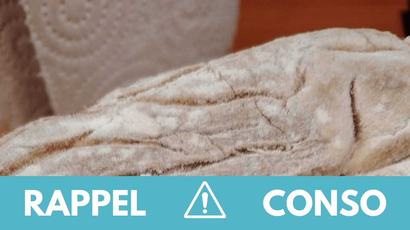 Rappel produit : Pain pavé tradition - AlloDocteurs