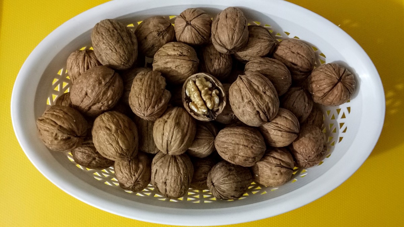 La noix, le fruit à coque aux mille vertus - AlloDocteurs