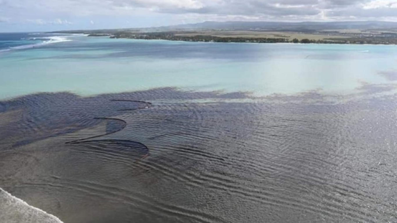 Pollution : poissons, biodiversité, santé... toutes les conséquences de ...