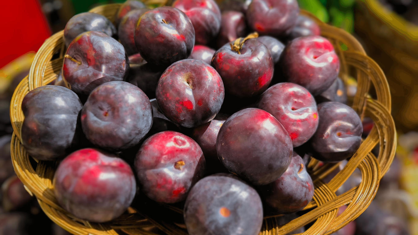 Quels sont les bienfaits des prunes ? - Allo Docteurs